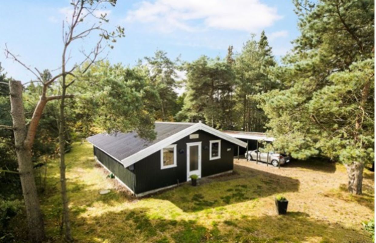 Private rentals or through agencies. Rent your holiday home in Denmark ...